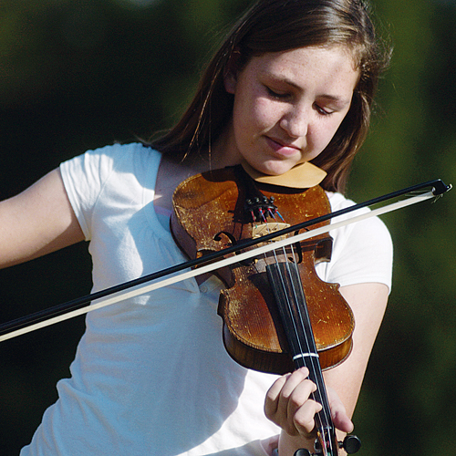 Fiddlers' convention shows off old music styles at Spring Farm Day