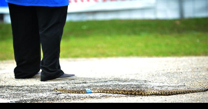 55th Annual Opp Rattlesnake Rodeo