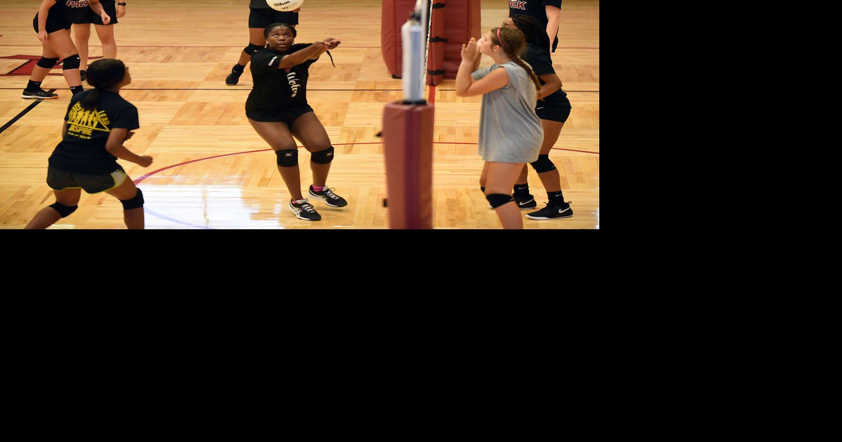 Dothan Wolves set to host first volleyball match on Monday