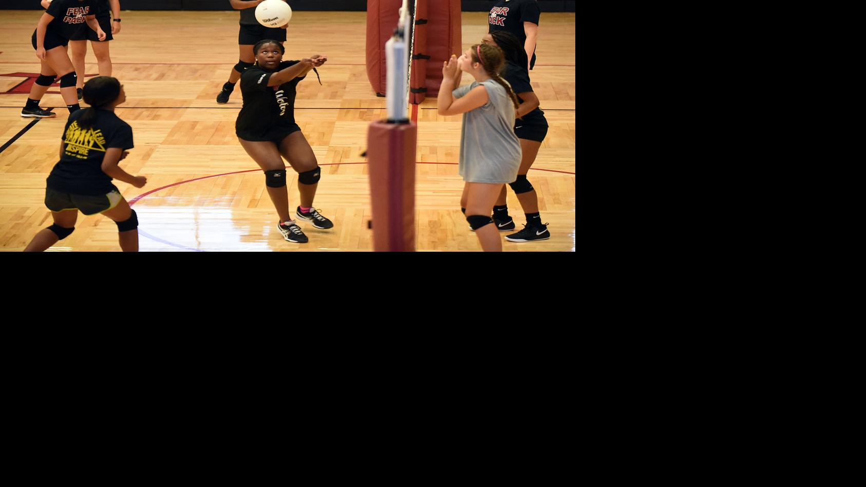 Dothan Wolves set to host first volleyball match on Monday | High ...