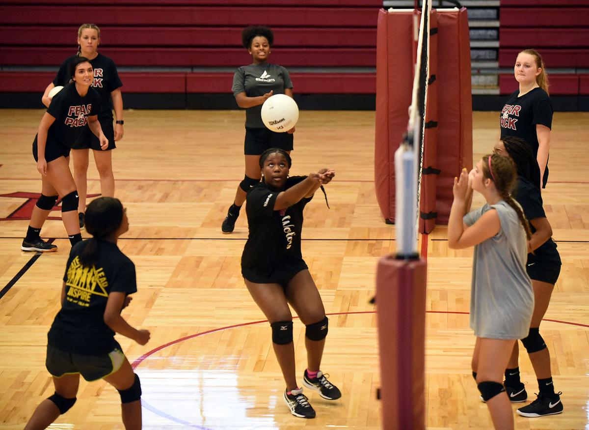 Dothan Wolves set to host first volleyball match on Monday