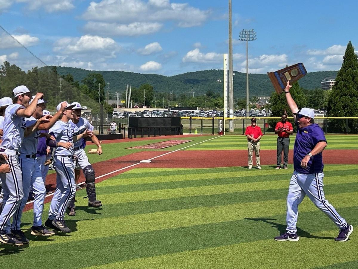 Ariton wins AHSAA Class 2A state baseball championship