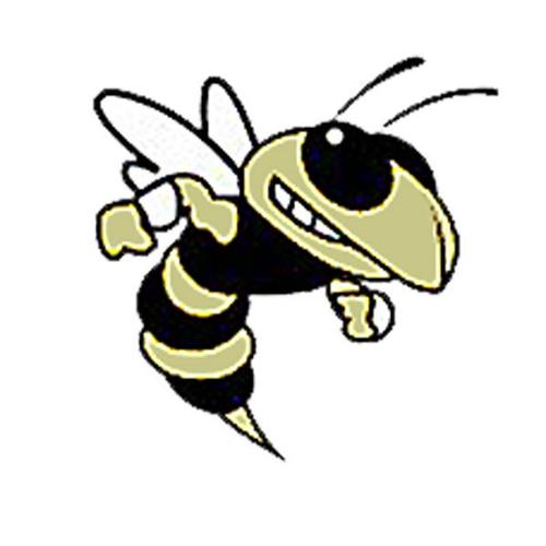 COUNTDOWN TO KICKOFF: Ashford Yellow Jackets