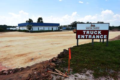 Wayne Farms plans to begin hiring 400-500 employees in August