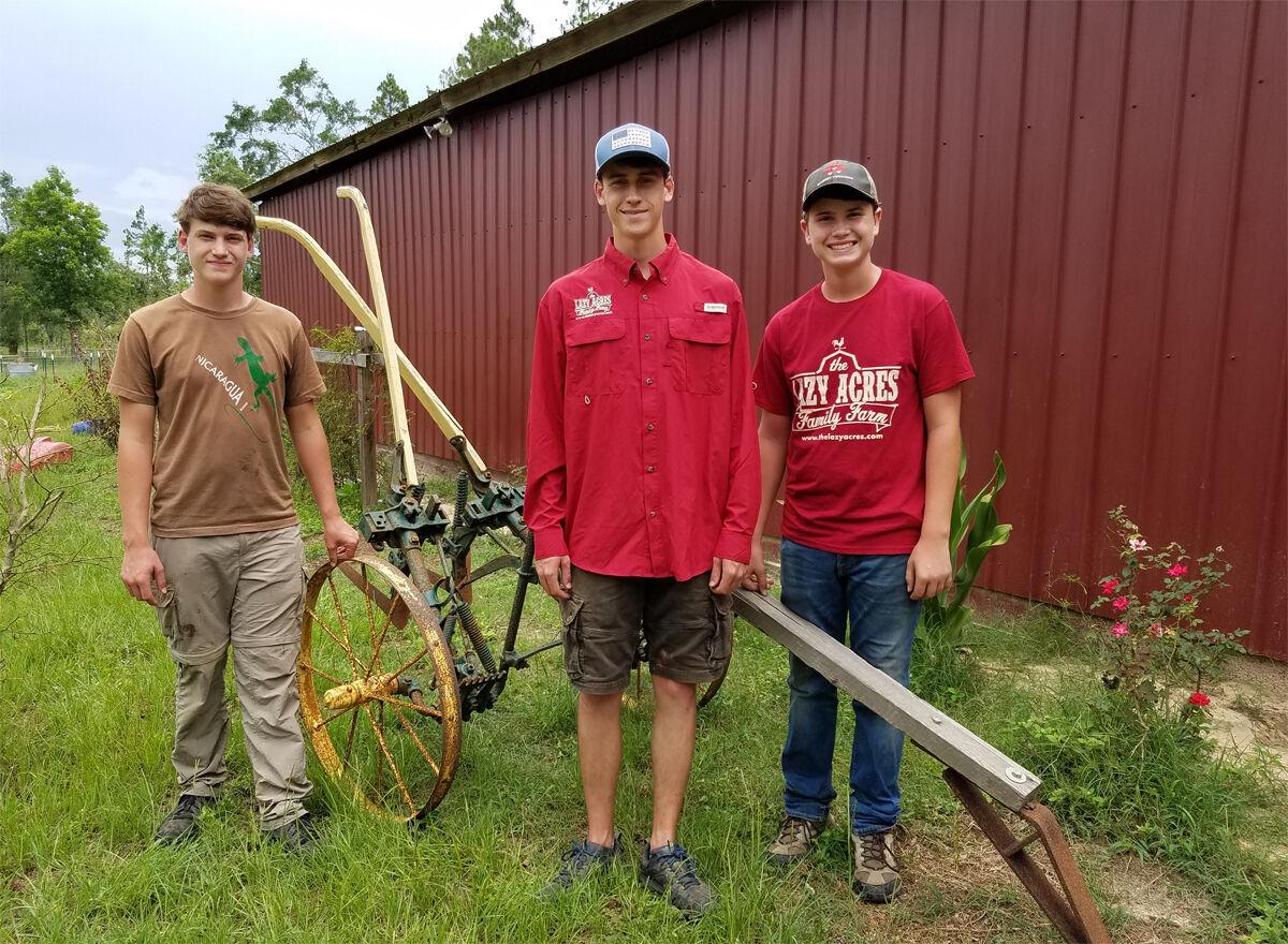 Five local farms on 2020 Tour