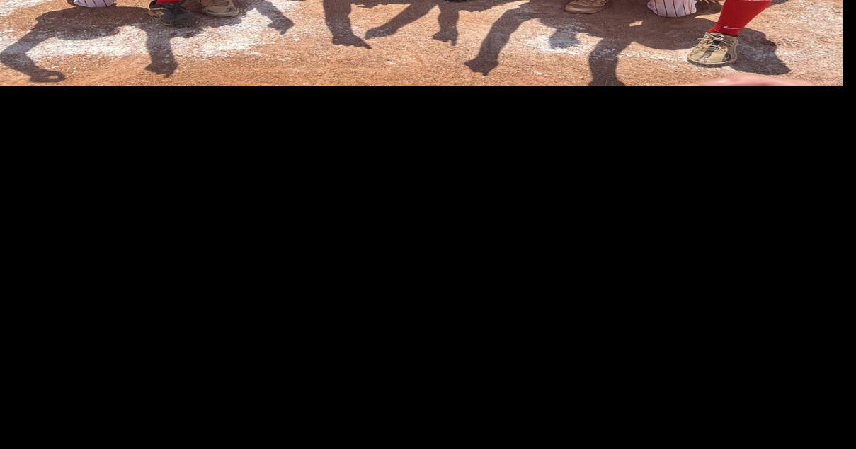 Dothan All-Stars 10-U softball team dominates to win Dixie Angels state ...