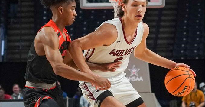 Dothan Wolves fall to Hoover in Class 7A basketball semifinals