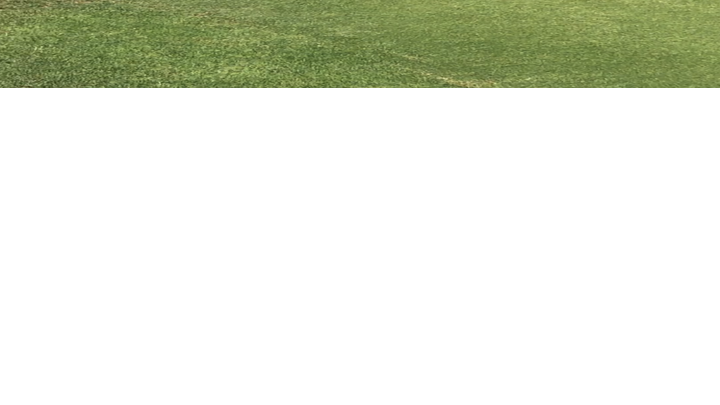 Golf Ball Drop a hit | News | dothaneagle.com