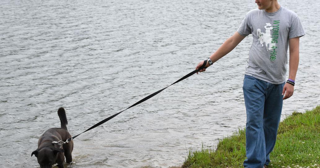 Dothan Animal Shelter's Bark in the Park