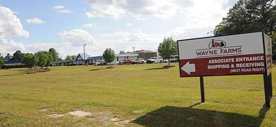 Wayne Farms begins advertising for 400 new jobs