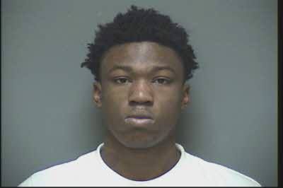 Probation revoked for tortoise abuse suspect