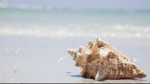 Man drowns while on honeymoon at Florida beach | State and Region ...