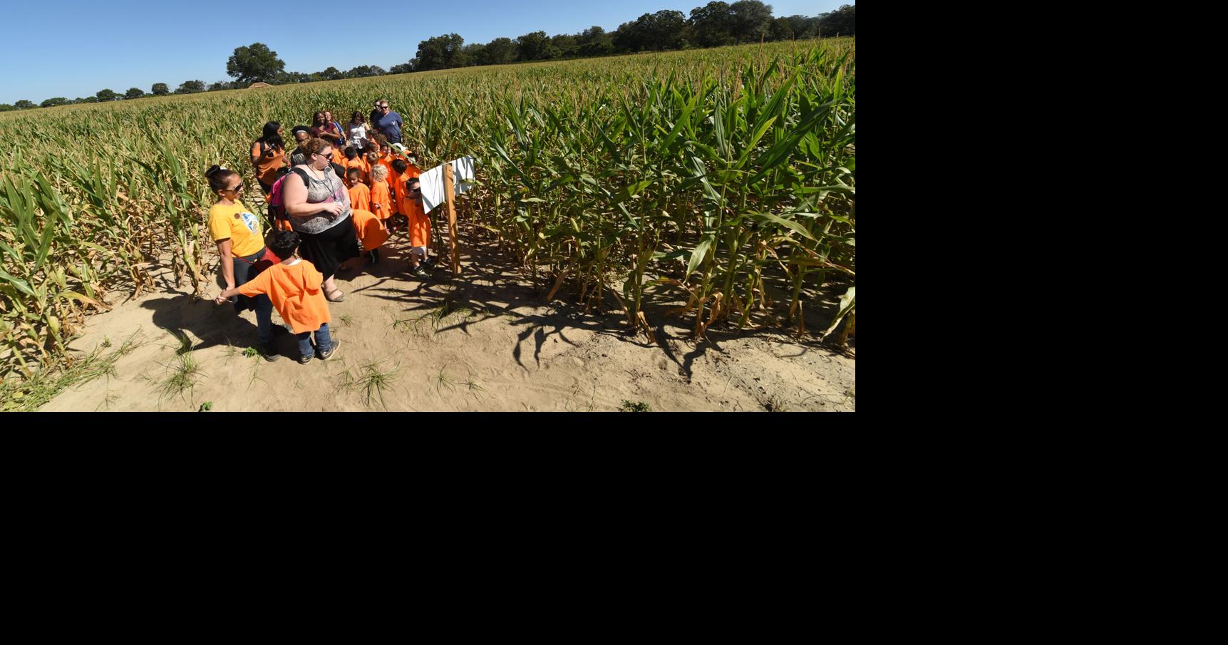 CornDodgers Farm continues to expand fall offerings