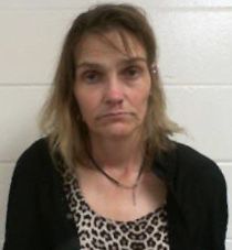 Woman faces charges after four-county chase