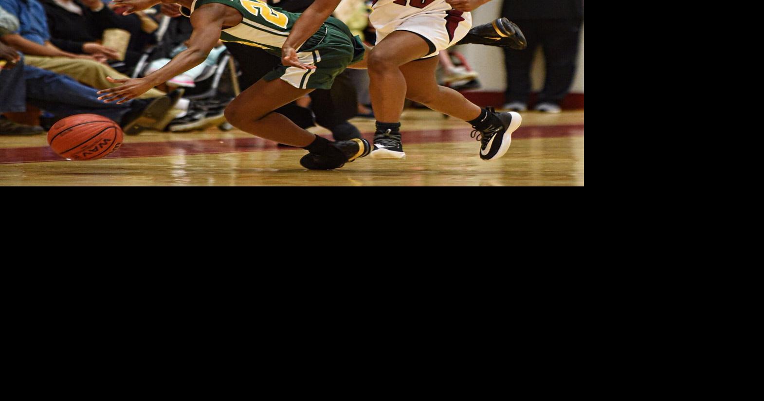 Dothan High Lady Wolves basketball team advances to Southeast Regional ...