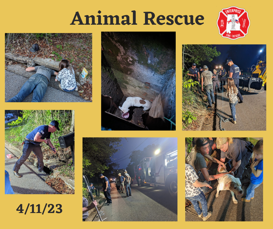 Fire Department helps rescue dog from storm drain