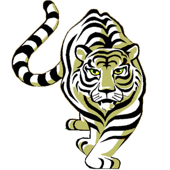 Depth, senior class has Elba Tigers poised for great season