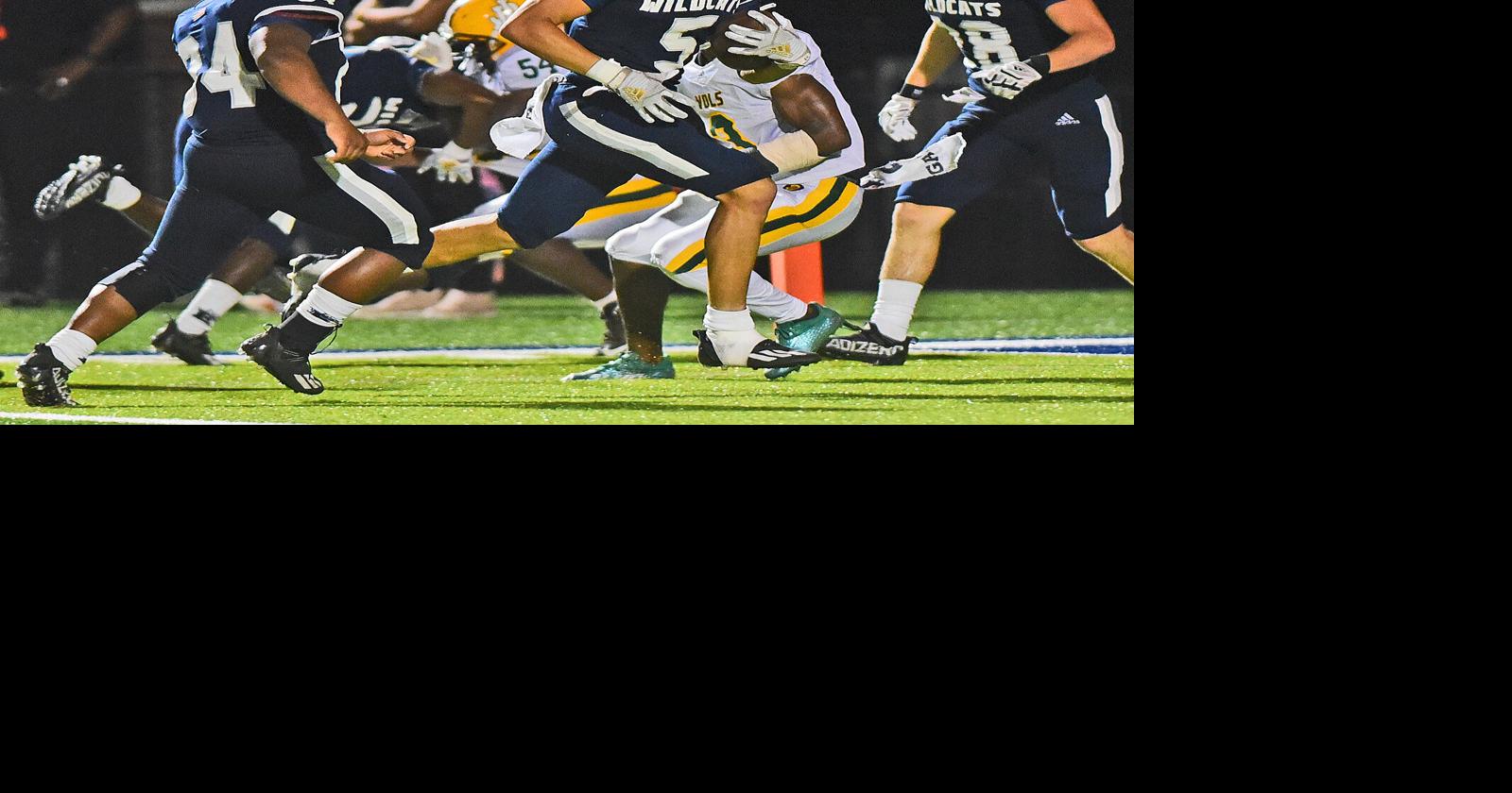 HIGH SCHOOL FOOTBALL: Elba's Henderson, Enterprise's Winters, Grady ...