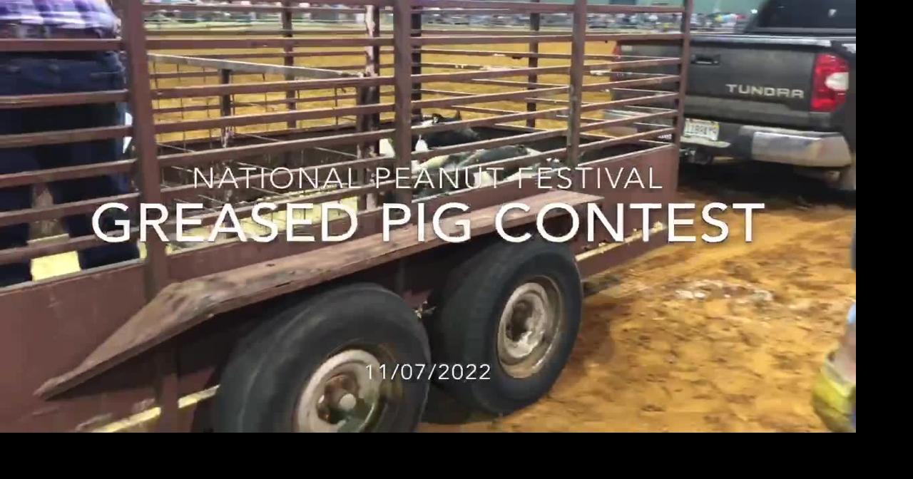 National Peanut Festival Annual Calf Scramble and Greased Pig Contests