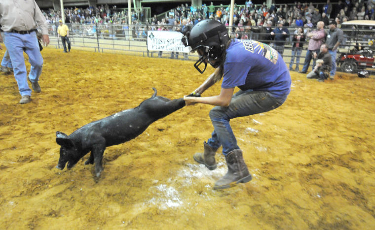 Greased pig tradition continues at Peanut Festival | News | dothaneagle.com