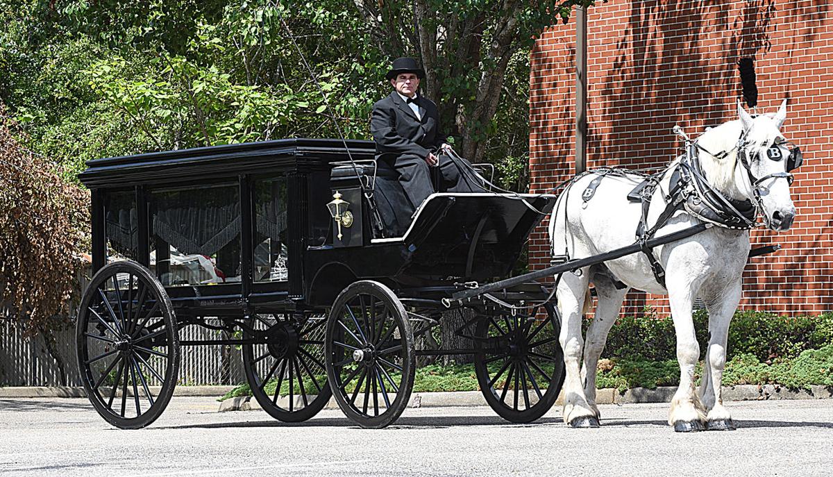 Bay Limo adds horse-drawn hearse