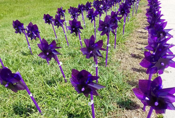 Purple pinwheels spin a message