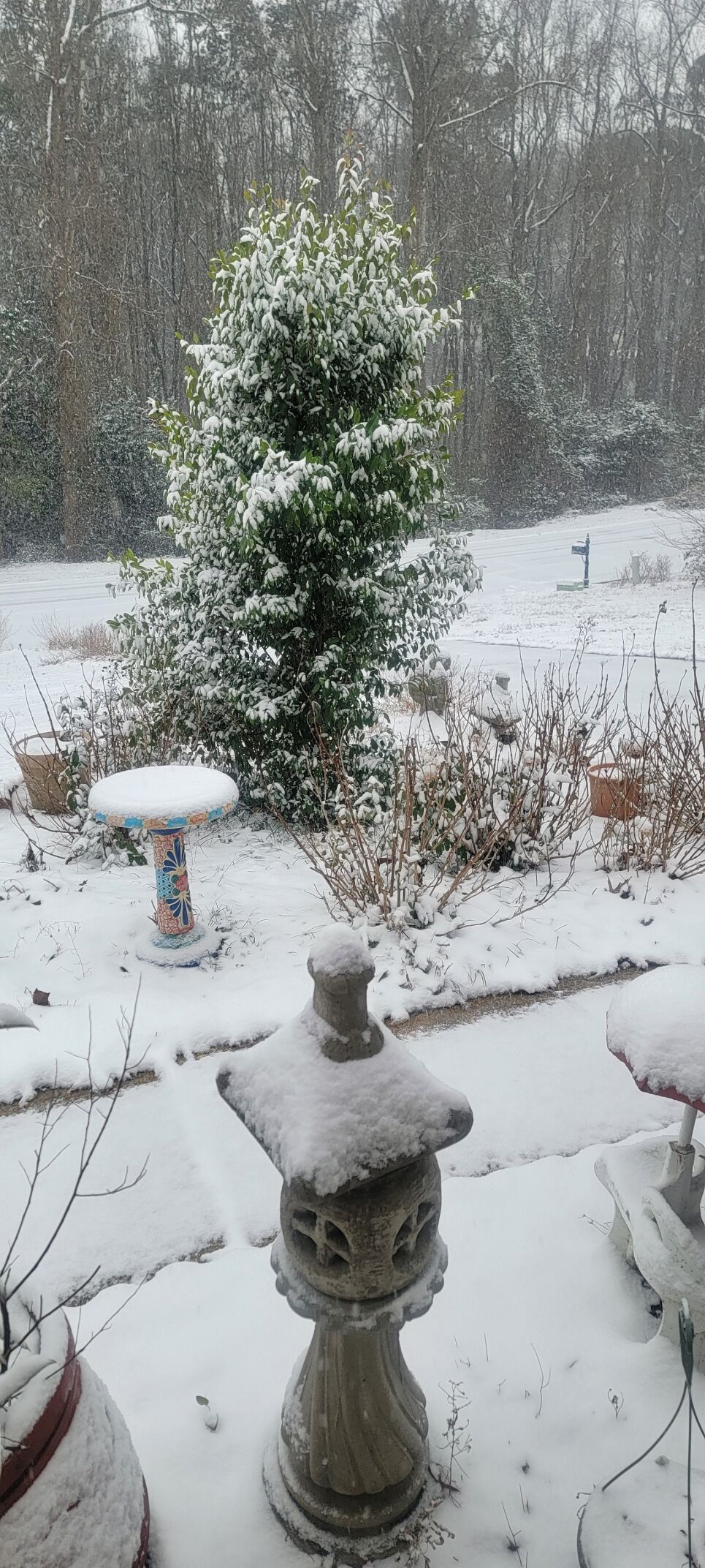 Here are some extreme cold safety tips from the city