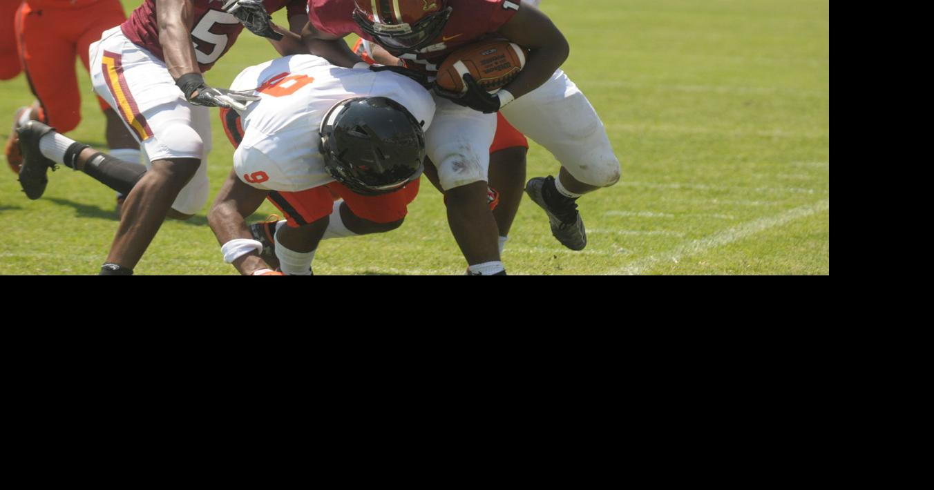 JON JOHNSON COLUMN: Dothan Wolves football debut against Hoover a ...