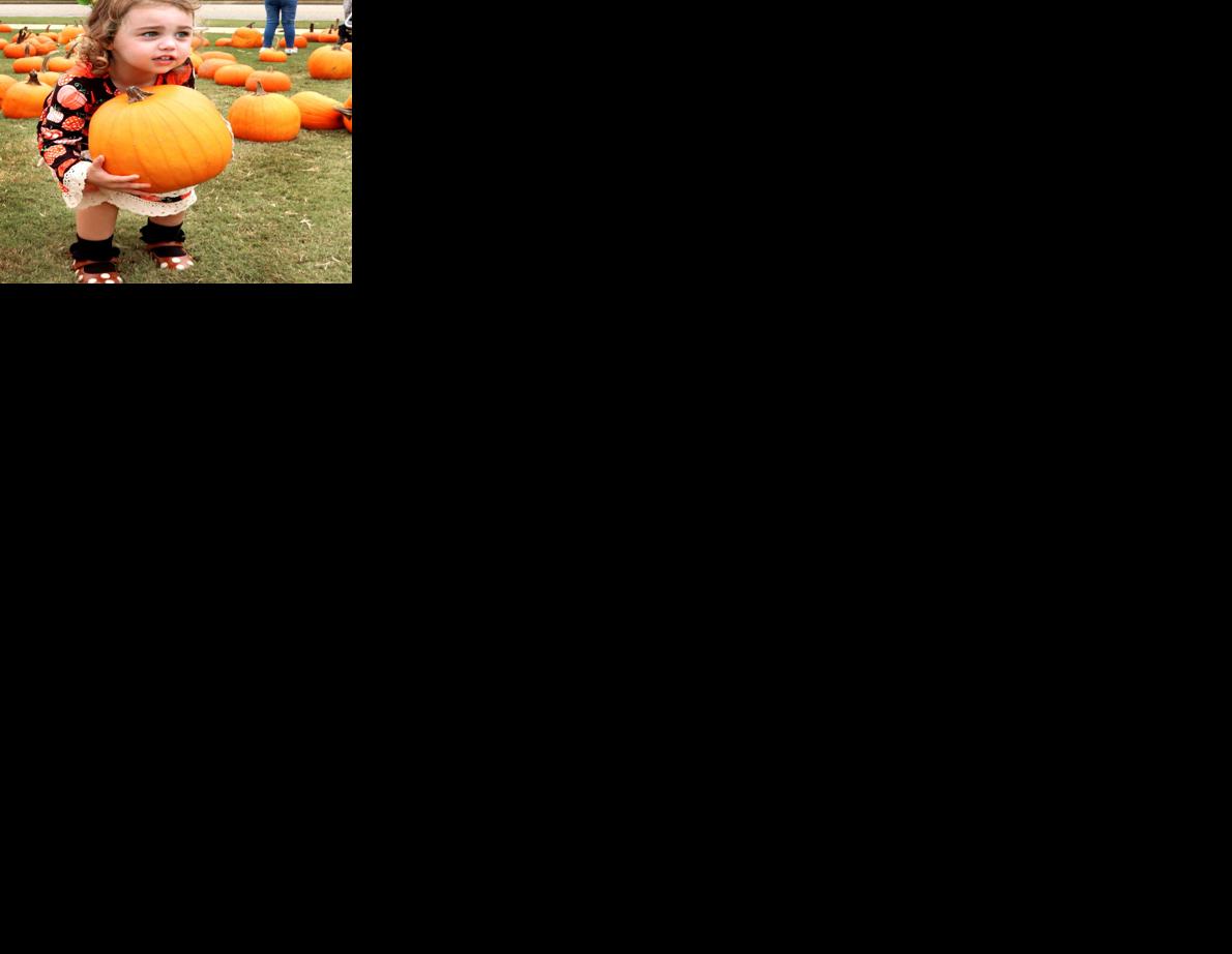 Public invited to Pumpkin Day Saturday