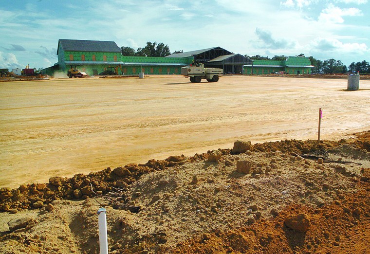 Survey puts stamp of acceptance on bingo