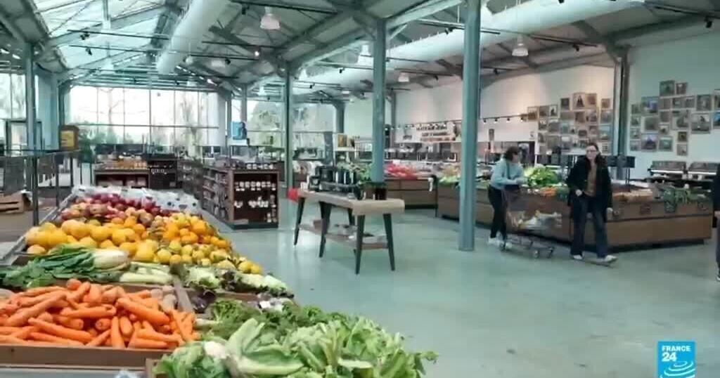 Farmer-owned supermarket sets example for better remuneration model