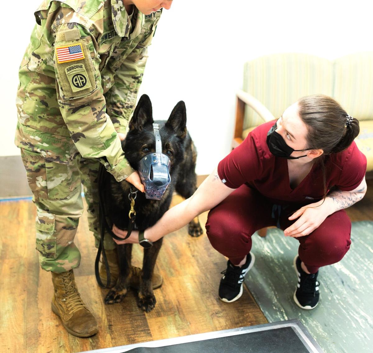 novosel-vet-clinic-captain-watson