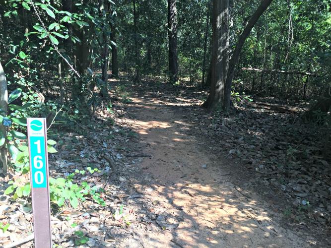 10 miles of Forever Wild trails open Saturday