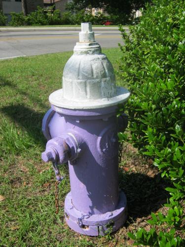 fire hydrant purple