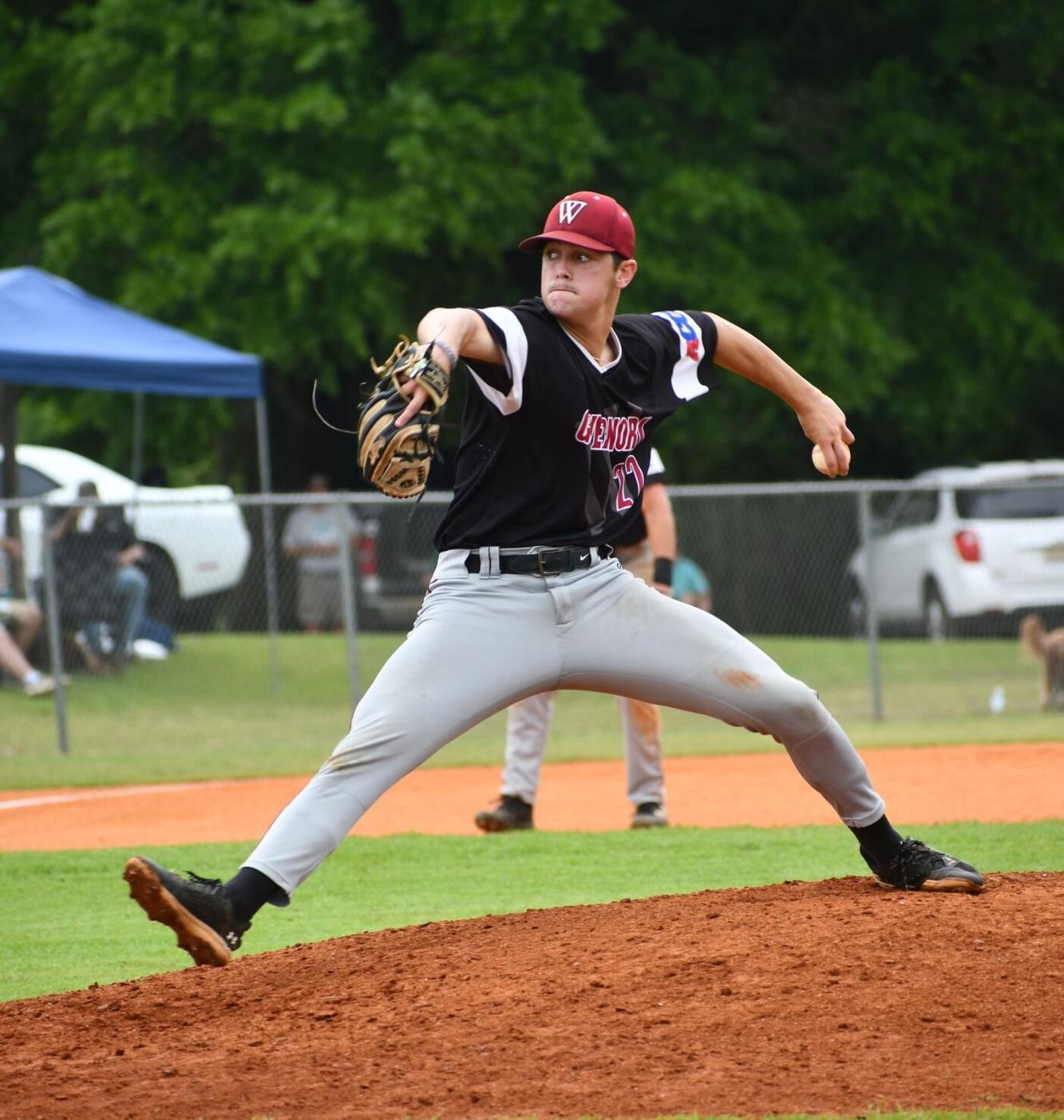 Wallace College gets pair of baseball wins at Enterprise State