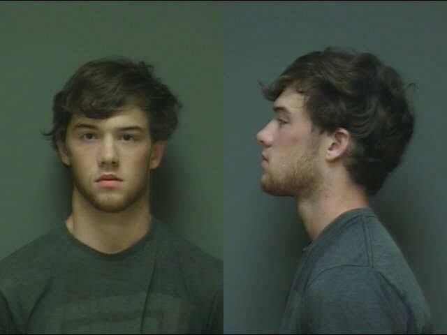 Dothan teen now faces 18 vehicle break-in charges