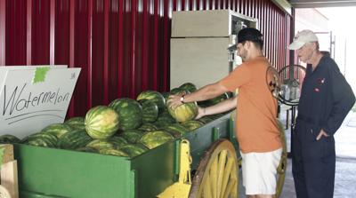 Todd Farms expands services