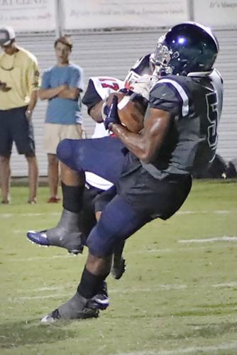 Troy lands pair of Wildcats