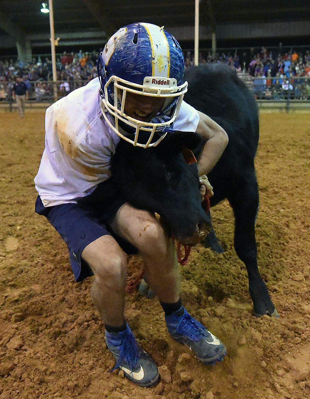 National Peanut Festival greased pig contest and calf scramble | News ...