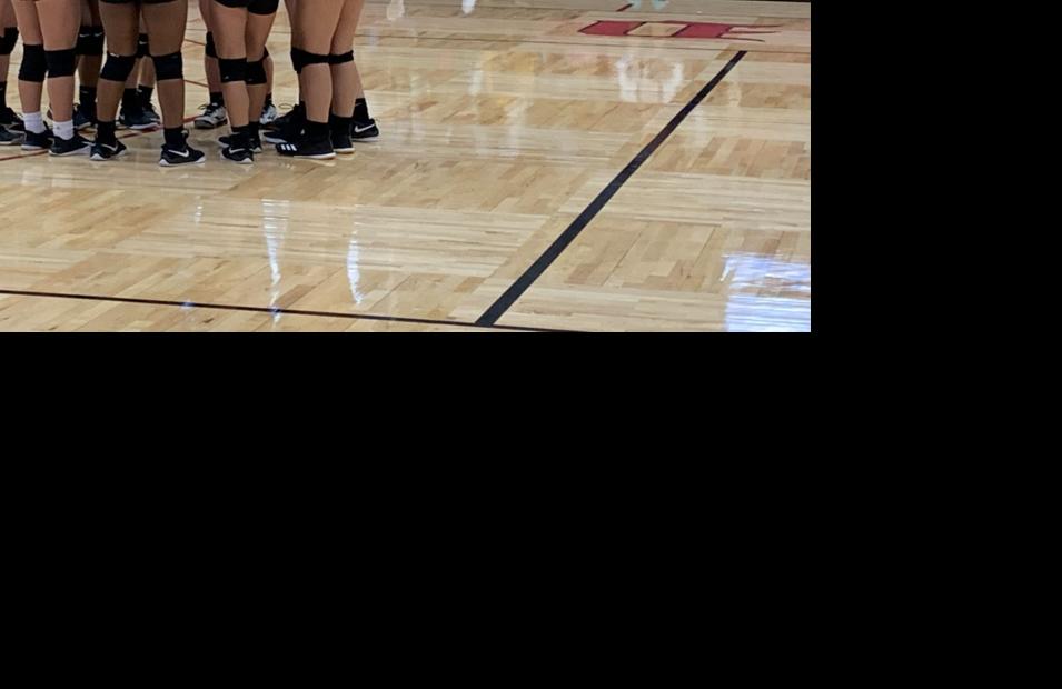 Dothan Wolves win inaugural volleyball match