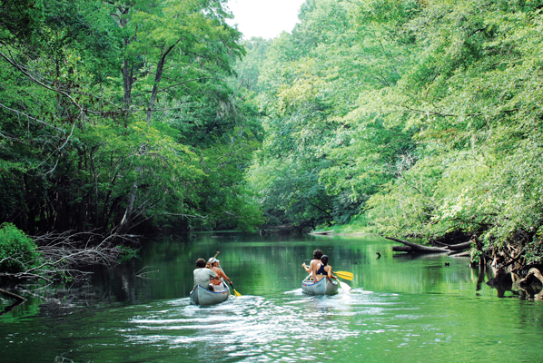 Chipola River rising