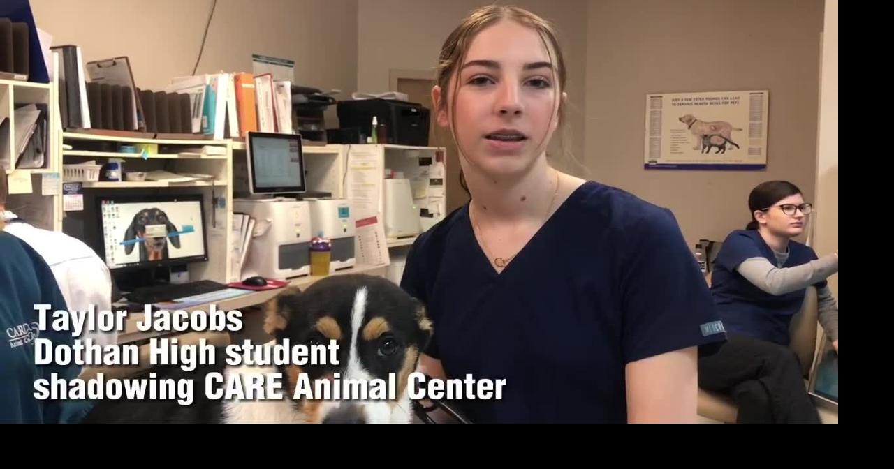 Dothan Tech hosts Job Shadow Day