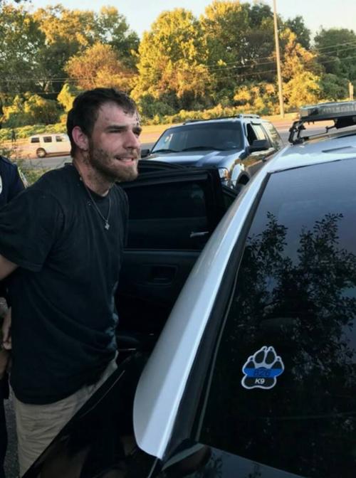 Escapee from Houston County work release captured by Dothan police K-9 ...