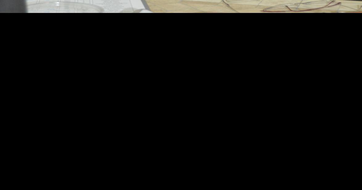 ELECTION FINAL: Worthan, Barnhill, Pounds, Daniel all win big | Local ...