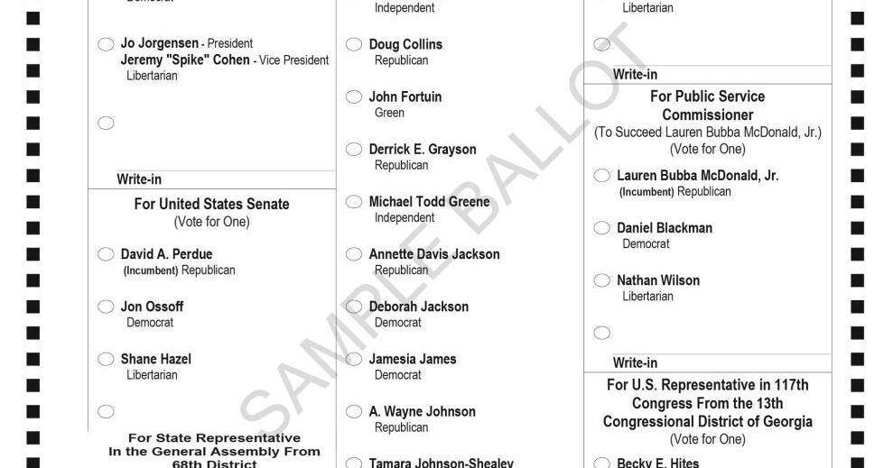 Douglas County Composite Sample Ballot for 2020 Election | Local News ...