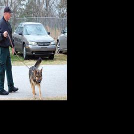 Explosives-sniffing dog joins K-9 crew at DCSO | Local News ...