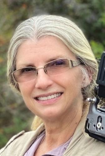 Sentinel judged one of top papers in state | Local News ...