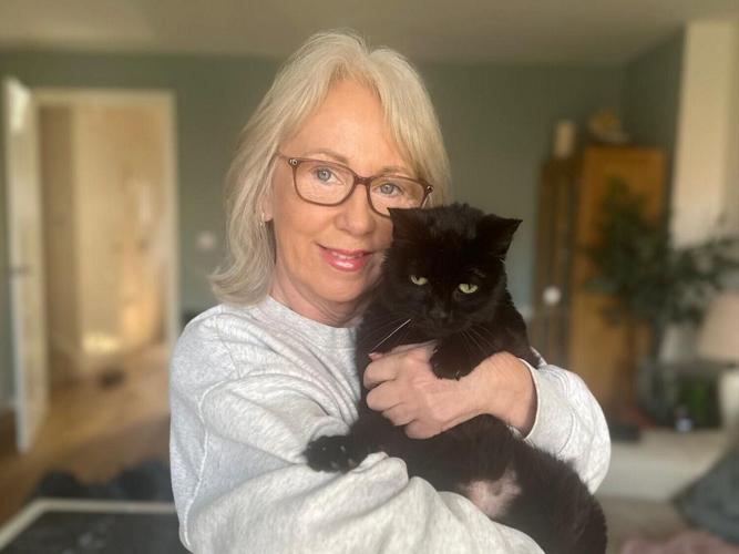 Lost cat reunited with owner 12 years after going missing | National ...