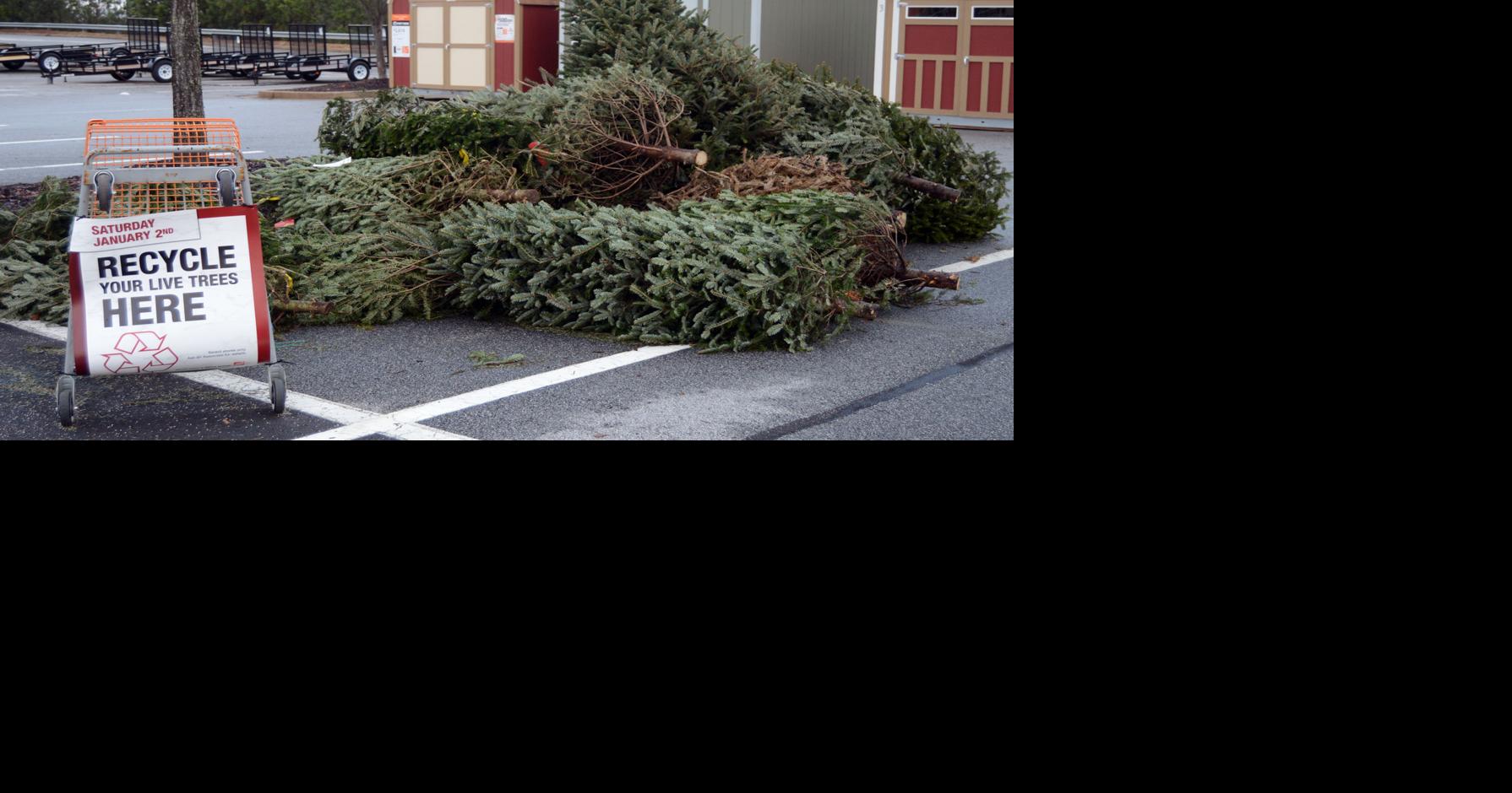 Recylce your Christmas tree with 'Bring One for the Chipper' program ...