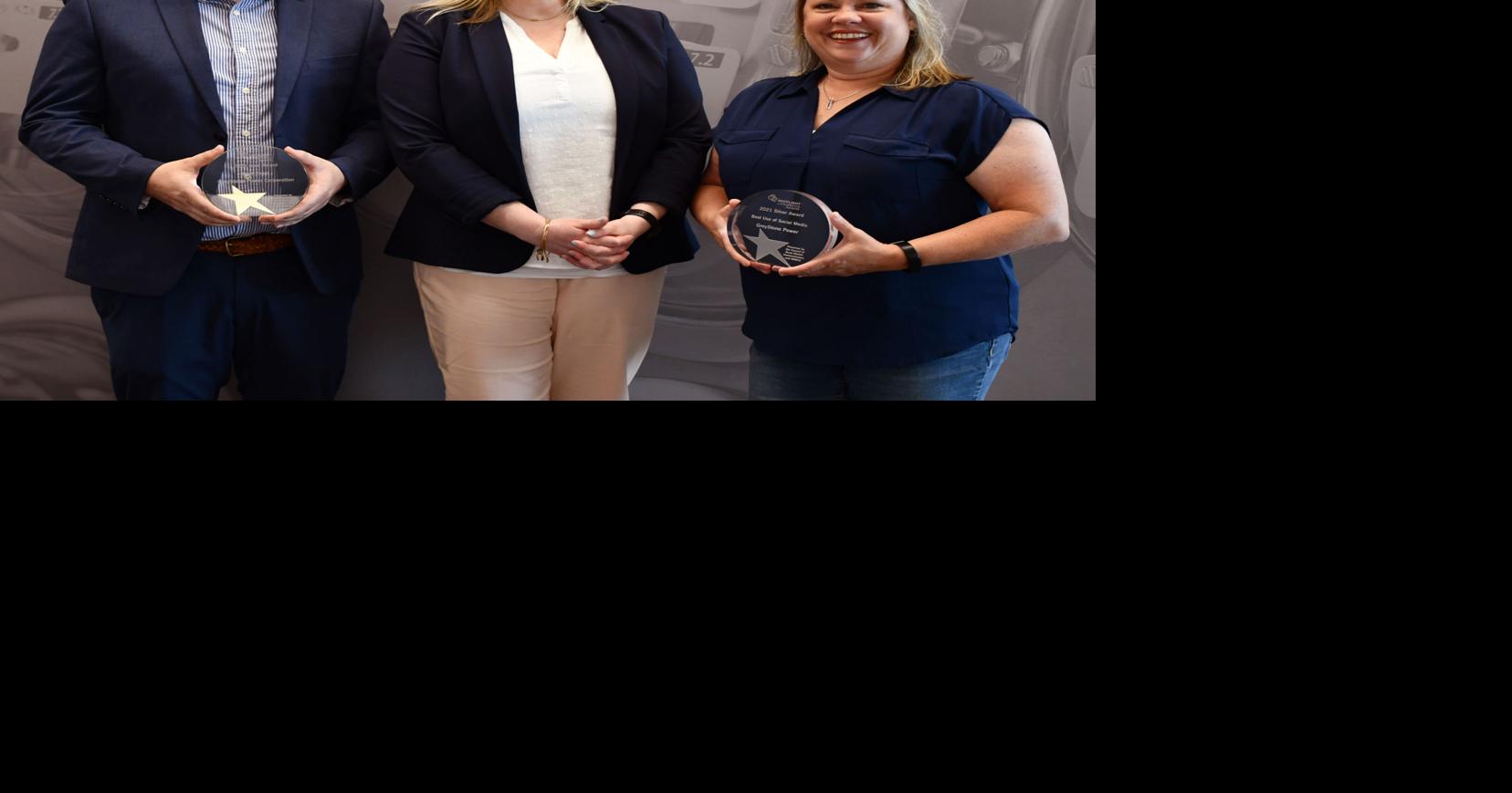 GreyStone Power places in Spotlight on Excellence Awards program ...